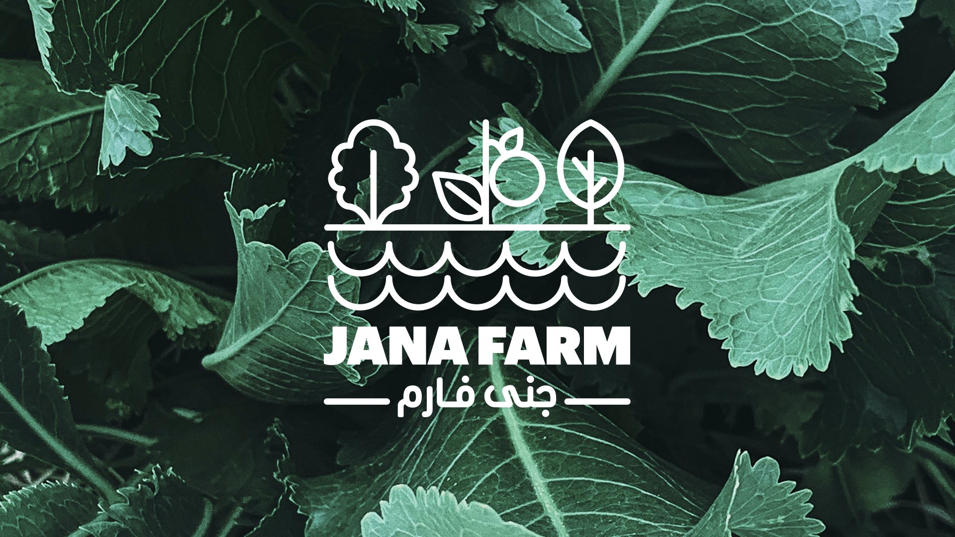 Jana Farms